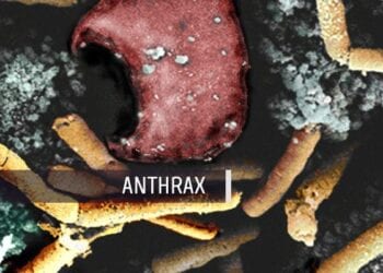 Anthrax Articles | Global Biodefense