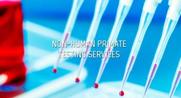 NIAID Seeks Non-Human Primate Lab Testing Services