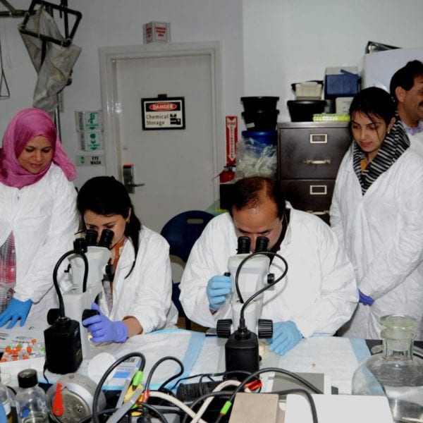 NAMRU-3 Researchers Collaborate on Dengue Prevention