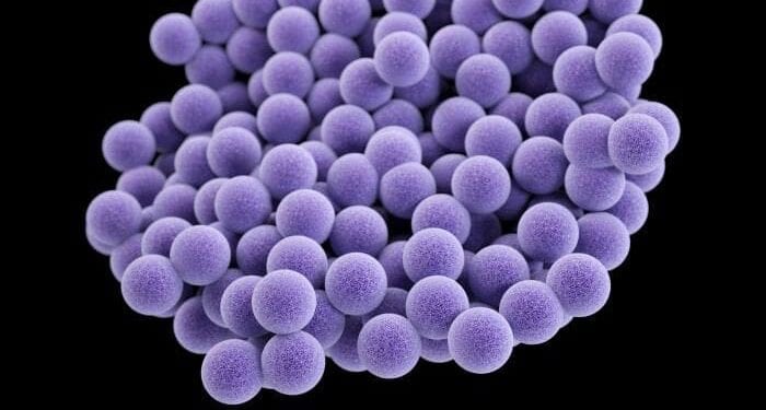 Motif Biosciences Unveil Novel Solutions for the Treatment Deadly ...