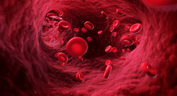 Engineering Red Blood Cells to Carry Therapeutic Cargo