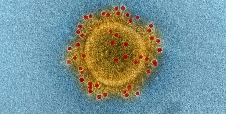 2 Mutations Identified as Critical for MERS Transmission