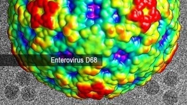 Enterovirus D68 | Global Biodefense