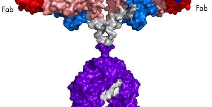 NIST Develops 'Fingerprinting' Method for Antibody Therapies - Global ...