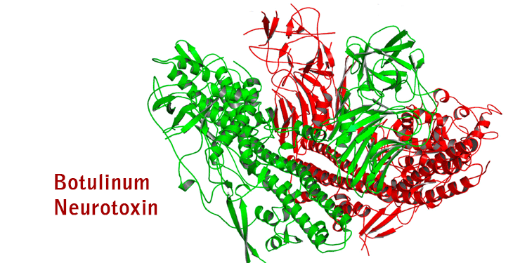 Botulinum Toxin’s Deadly Cloaking Mechanism – Global Biodefense