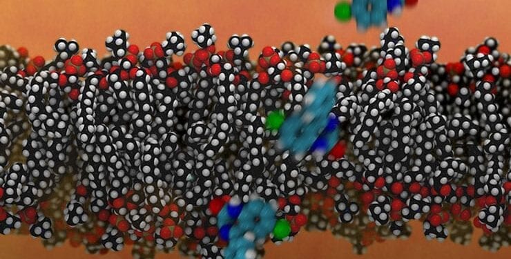 Permeability Simulation Speeds Development of Nerve Agent Countermeasures