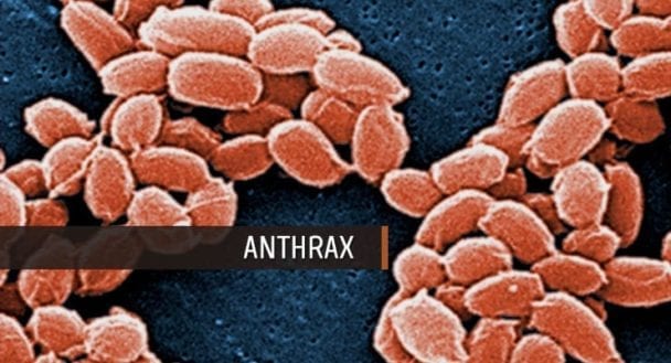 Understanding Anthrax: How It Can Evade the Immune System