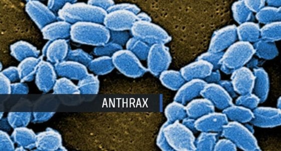 Single-Dose Anthrax Vaccine Nasal Spray Clinical Trial