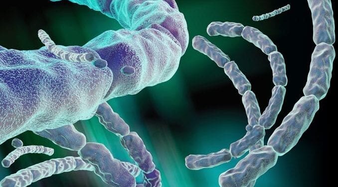 Journal Papers on Efficacy of Inhalational Anthrax Countermeasure ...