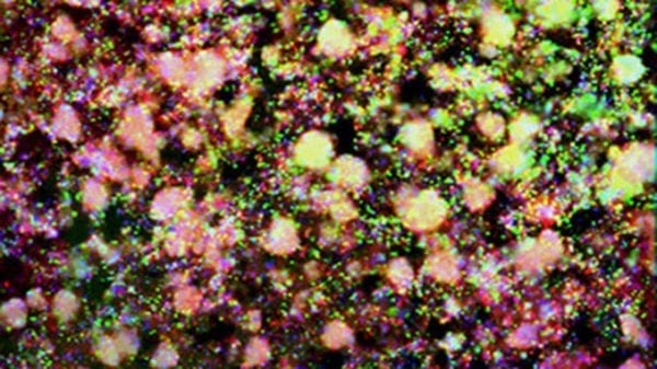 3D Gene Sequencing Technology for Drug Discovery and Diagnostics