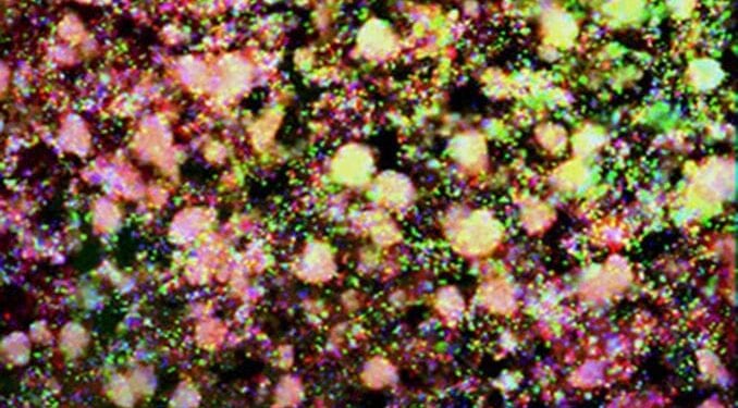 3D Gene Sequencing Technology for Drug Discovery and Diagnostics ...