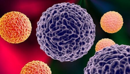 US Army Seeks Dengue Human Infection Model Prototype Development