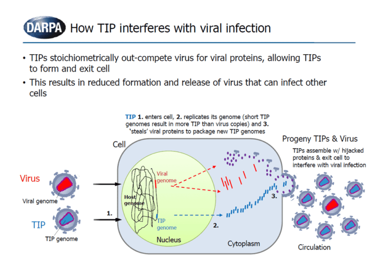DARPA Awards Research Contract for Co-Evolving Countermeasures for ...