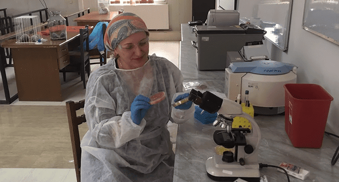 Diablo Shield Exercise Tests Response to Biothreat Incidents – Global ...