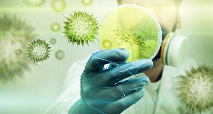 WHO Updates Blueprint List of Priority Diseases – Global Biodefense