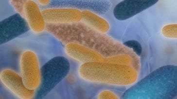 Rapid Isolation and Concentration of Infectious Bacteria | Global ...