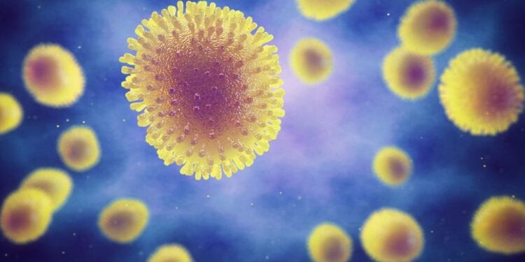 Turns Out, Bat Influenza Can Give You the Flu - Global Biodefense