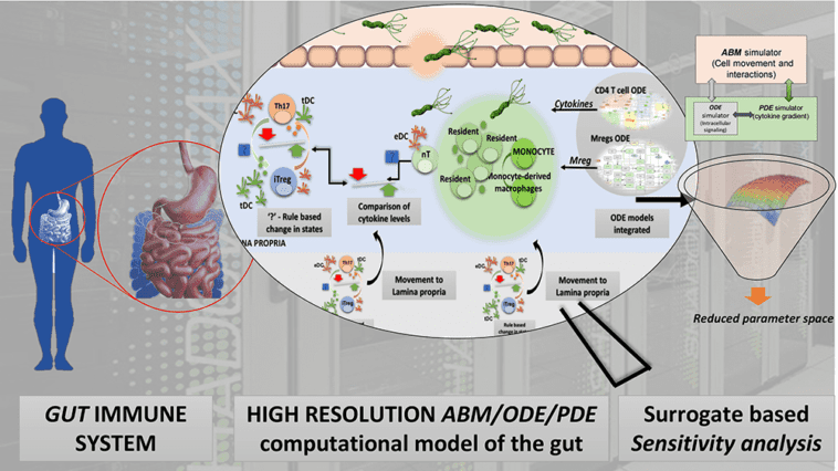 Modeling the Complexities of the Gut for Biodefense Applications