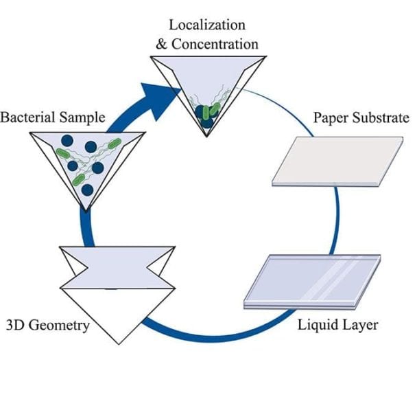 Folded Paper Creates Portable Lab for Field Laboratory Tests