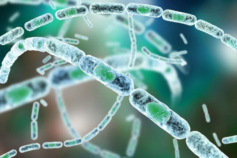 BARDA-Supported Anthrax Vaccine Now Approved, Enables Faster Onset to ...