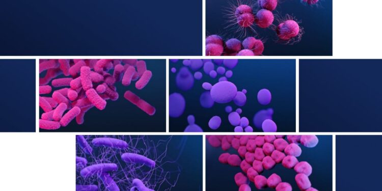 More People in the U.S. Dying from Antibiotic-Resistant Infections than ...