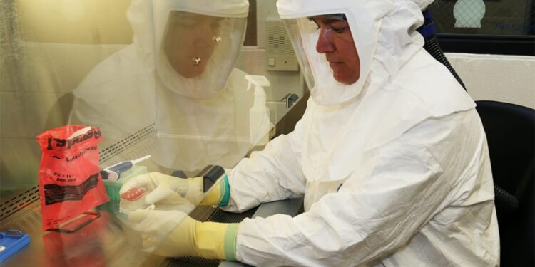 DoD Leverages Lung-on-a-Chip Technology for COVID-19 Research – Global ...