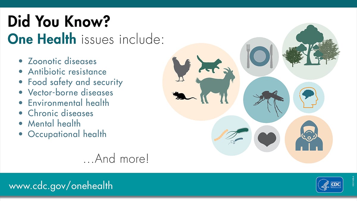 One Health Day 2020 - Disease Prevention, Public Health and Global ...