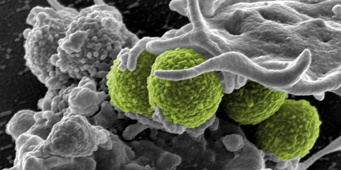 New Vaccine Development Platform Could Fight Deadly, Multi-Drug ...