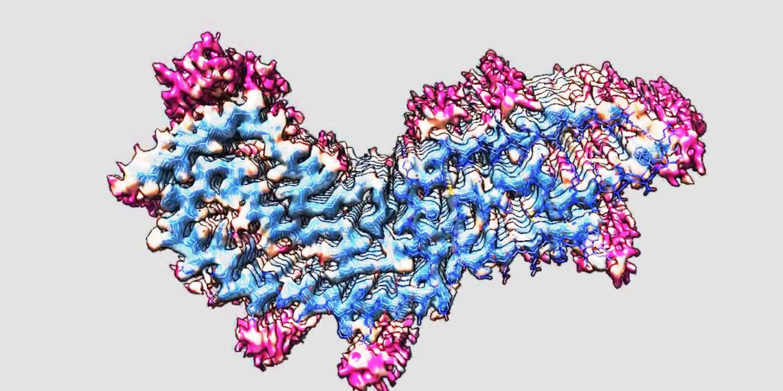 Lethal Prions: New Atomic-Level Images of Abnormal Protein Structures ...
