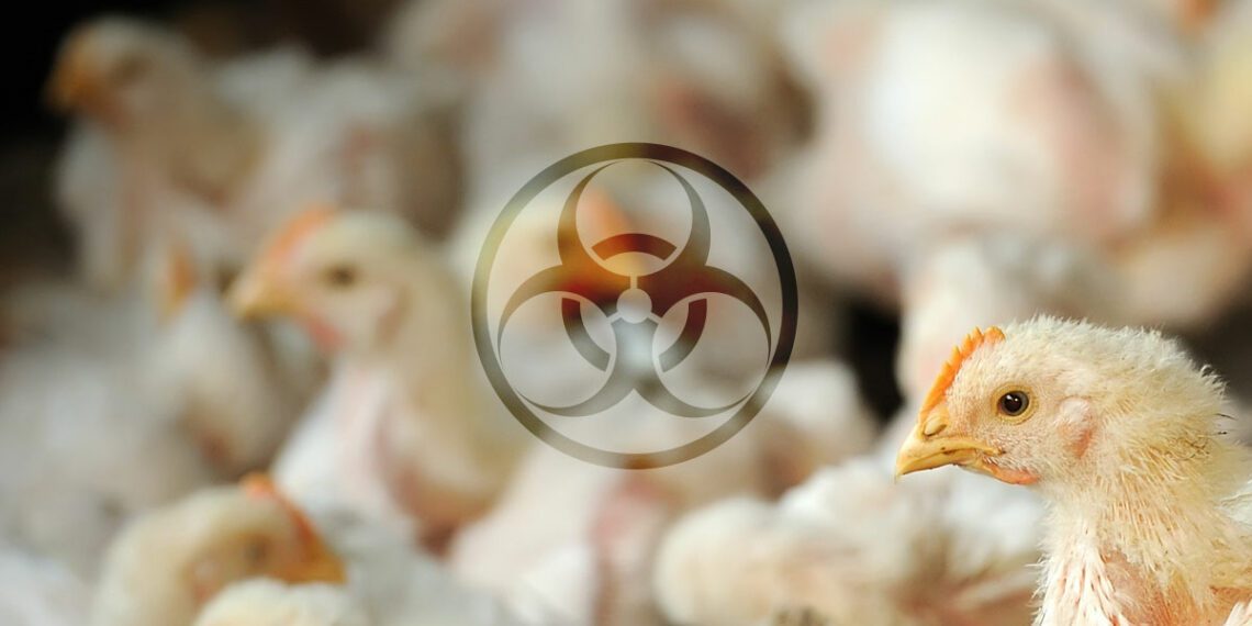 The Latest Global Biosecurity News | Global Biodefense