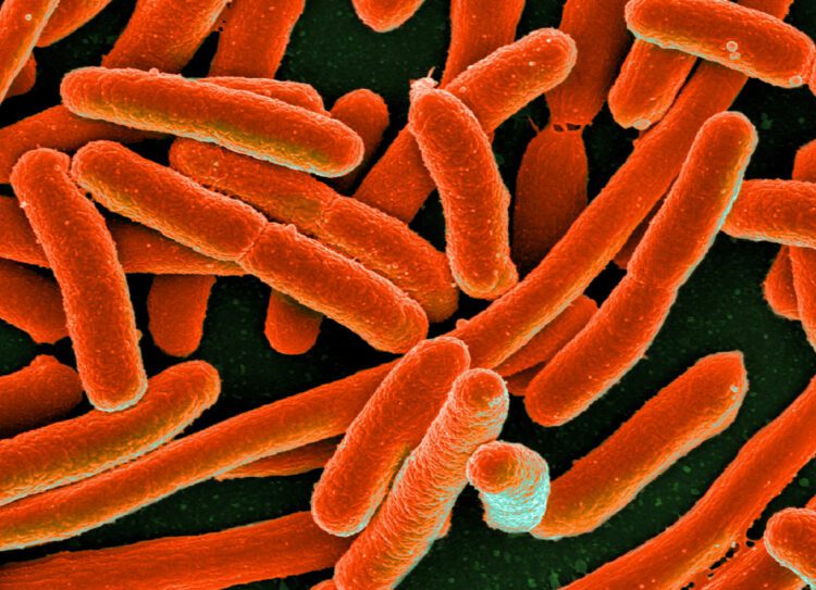 MIT Researchers Make Progress on Antibiotic Resistance Under DTRA-JSTO ...