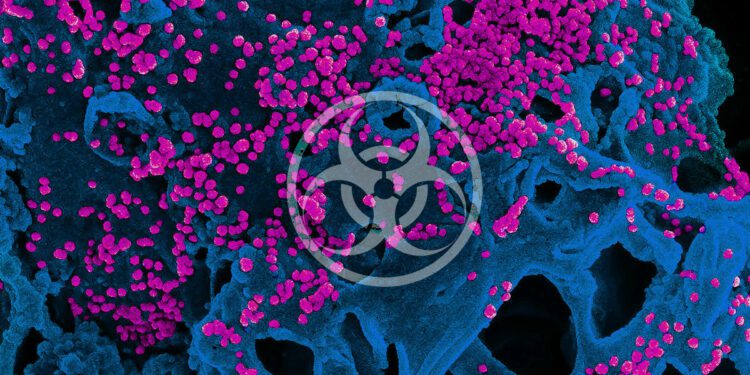 Birmingham Biotech and University of Birmingham Partner on Covid-19 ...