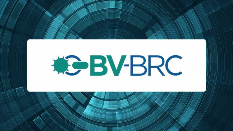 Bacterial and Viral Bioinformatics Resource Center Website Now Available